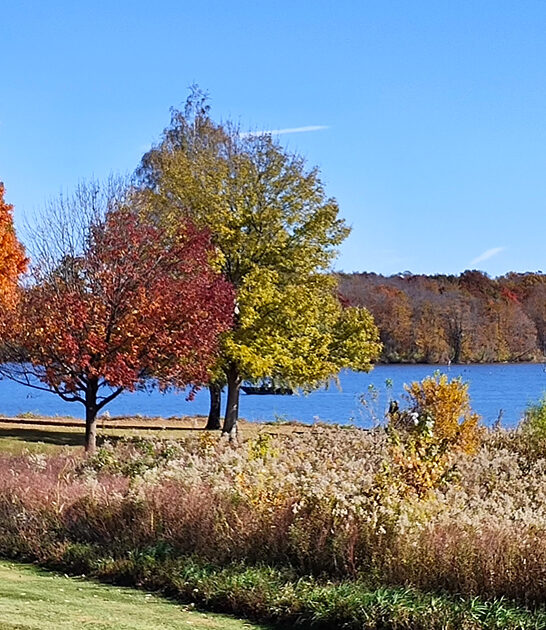 state park illinois gorgeous ftr