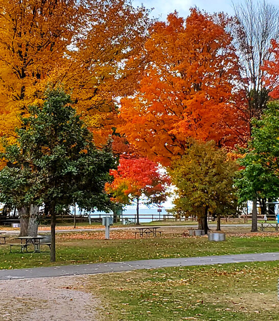 state park michigan unforgettable ftr