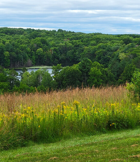 state park new auburn wi ftr