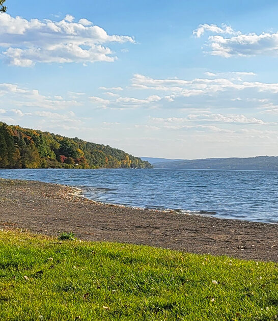 state park new york ftr