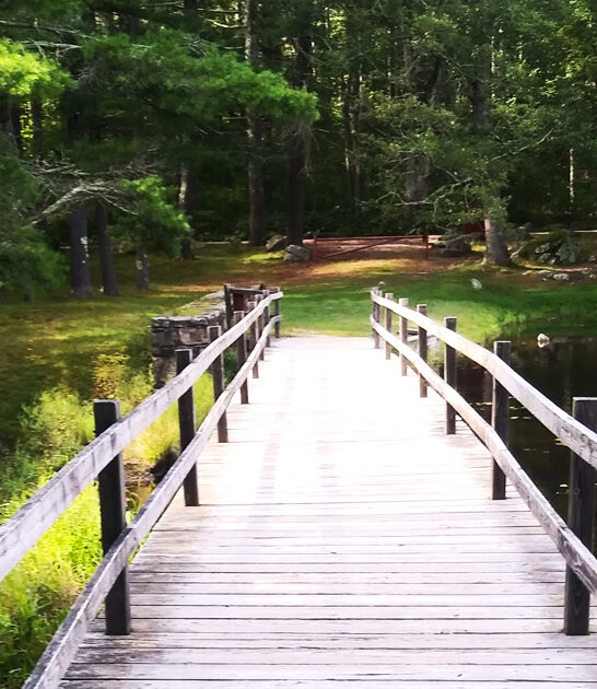 state park rhode island ftr