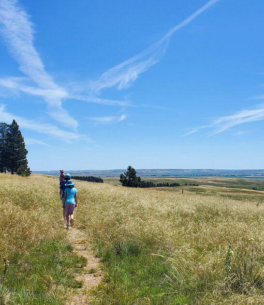 state park underrated montana ftr