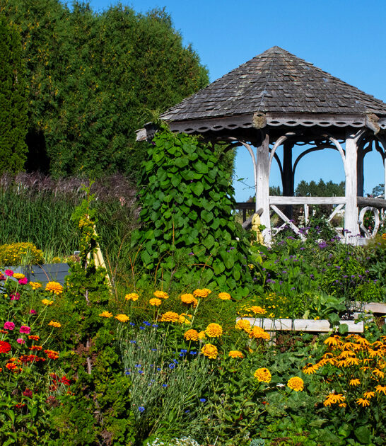 stress free garden wisconsin ftr