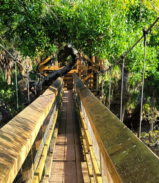stunning canopy walkway florida