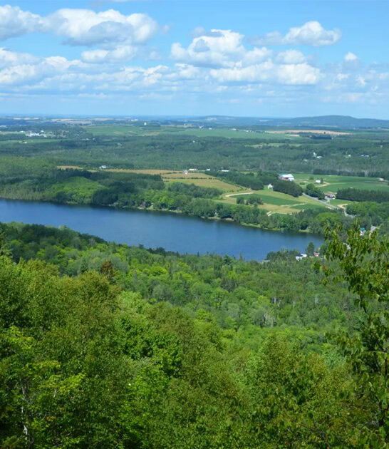 stunning painting park maine ftr