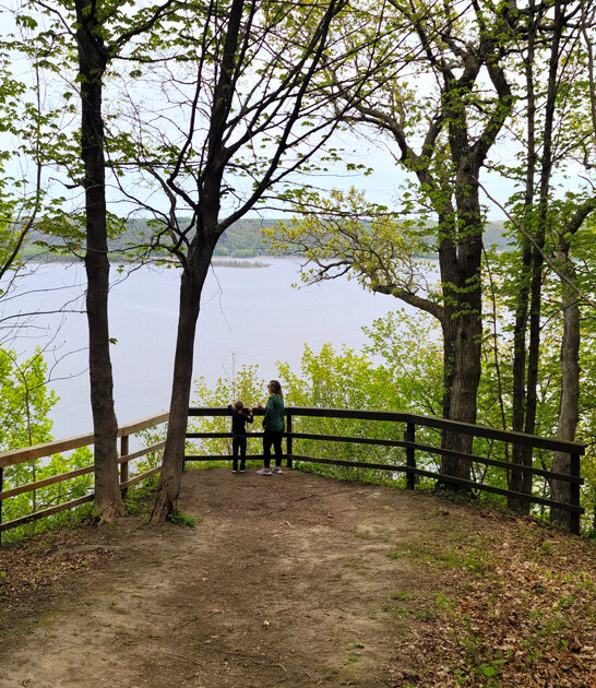 stunning park minnesota FTR