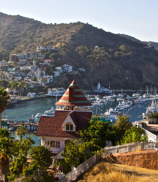 stunning santa catalina island ca FTR