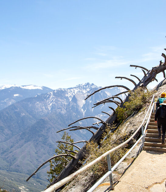 surreal mile hike california ftr