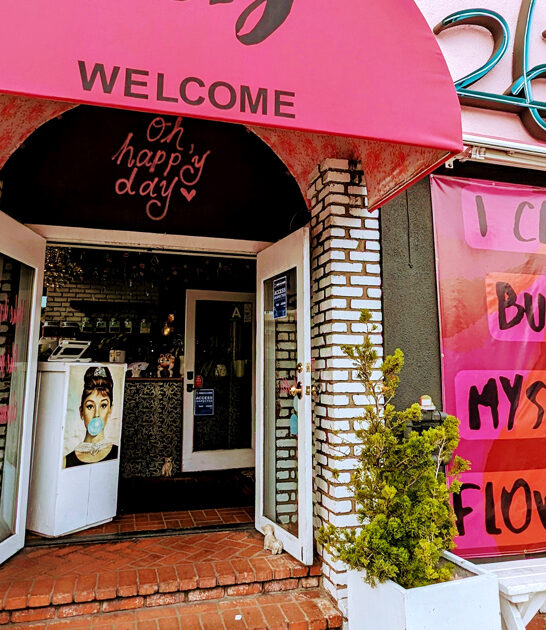 sushi burgers california restaurant ftr