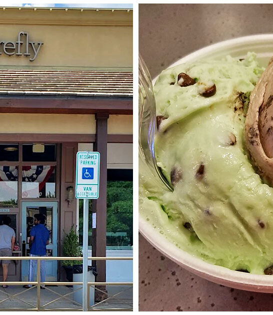 sweet tooth trip texas FTR