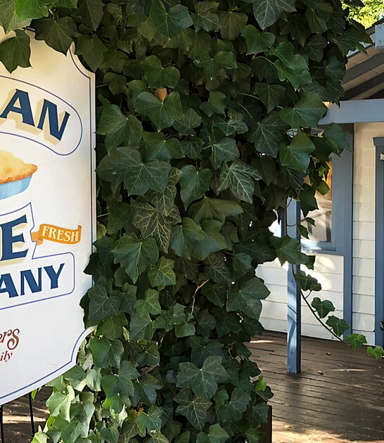 sweetest road trip california ftr