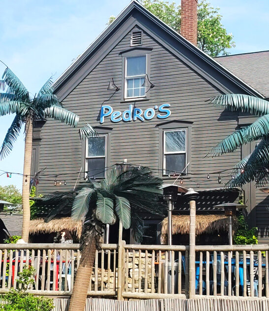 tasty road trip maine ftr