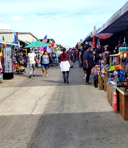 texas bargain hunting market ftr