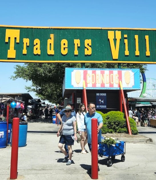 texas market rare treasures ftr