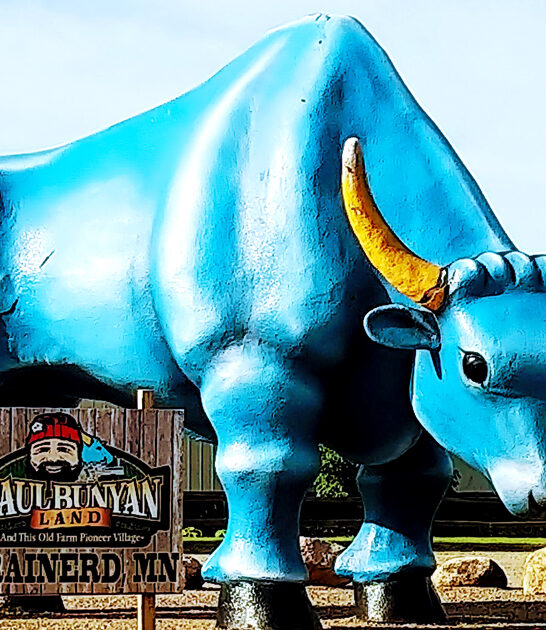 thrilling minnesota trip FTR