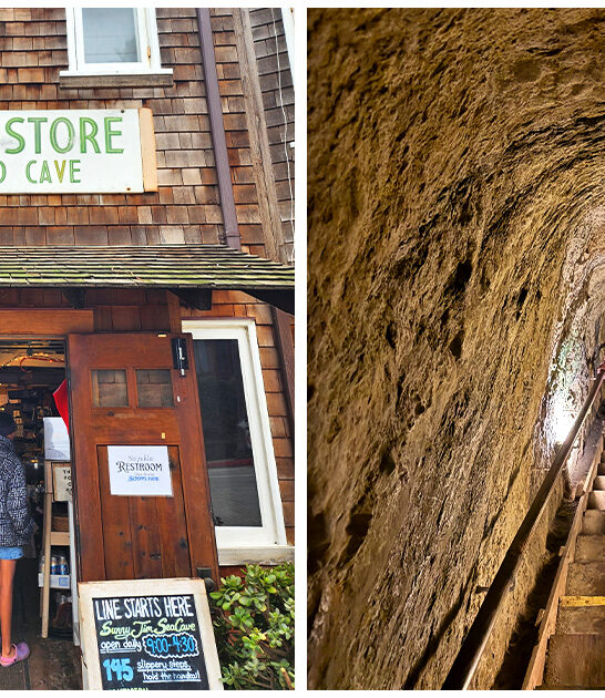 tiny gift shop california FTR