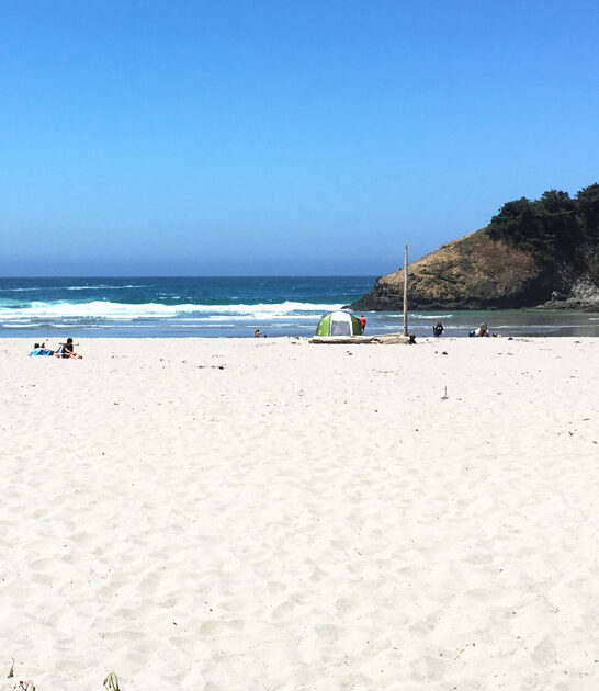 tiny state park california ftr