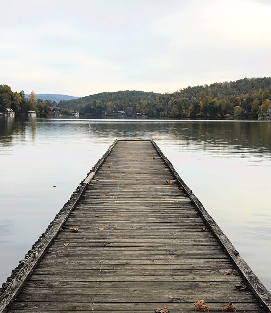 tiny state park georgia FTR