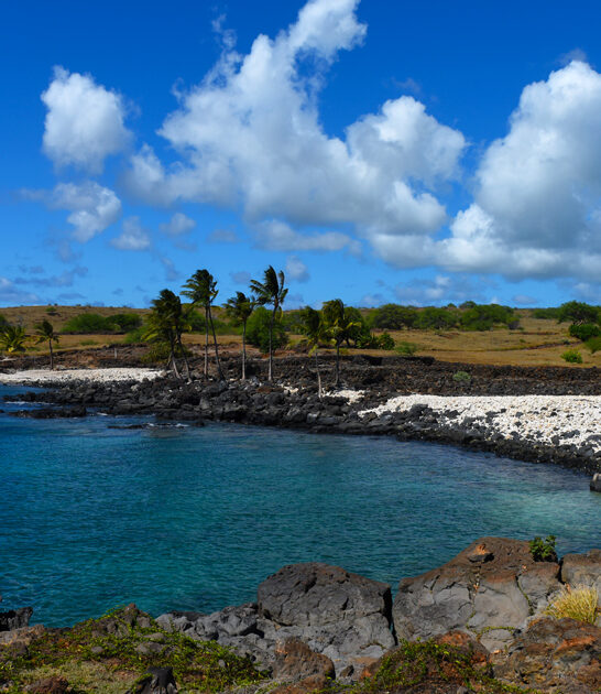 tiny state park hawaii ftr