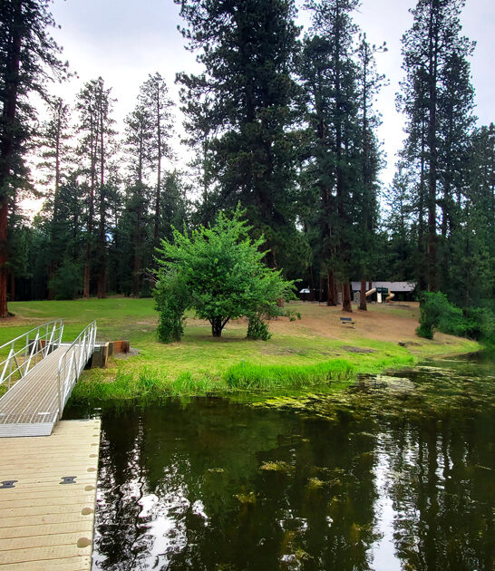 tiny state park idaho ftr