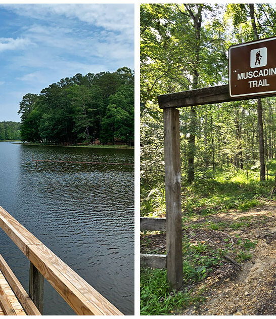 tiny state park mississippi ftr