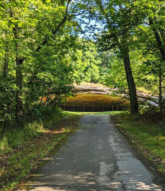 tiny state park missouri ftr