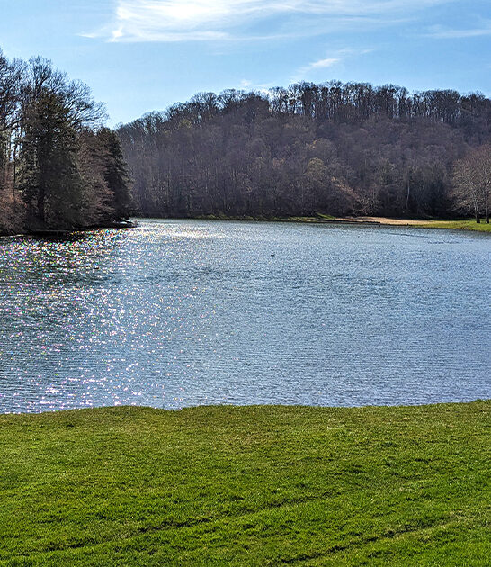 tiny state park ohio ftr