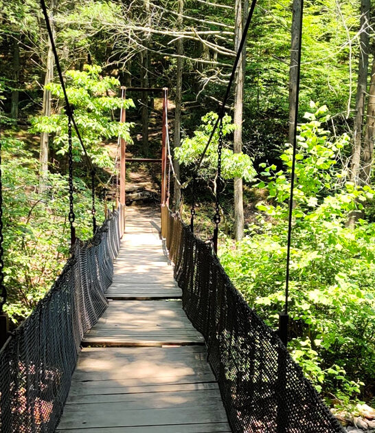 tiny state park pennsylvania ftr