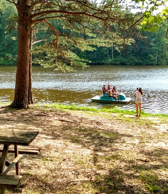tiny state park virginia ftr