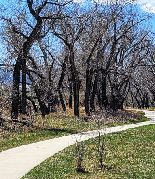 tiny state park wyoming ftr