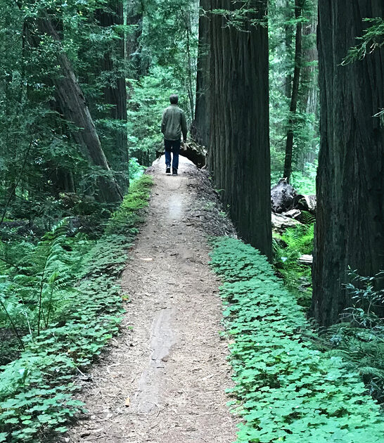 tolkien esque trail california FTR