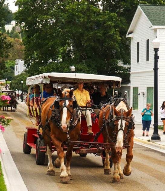 town horse carriage michigan ftr