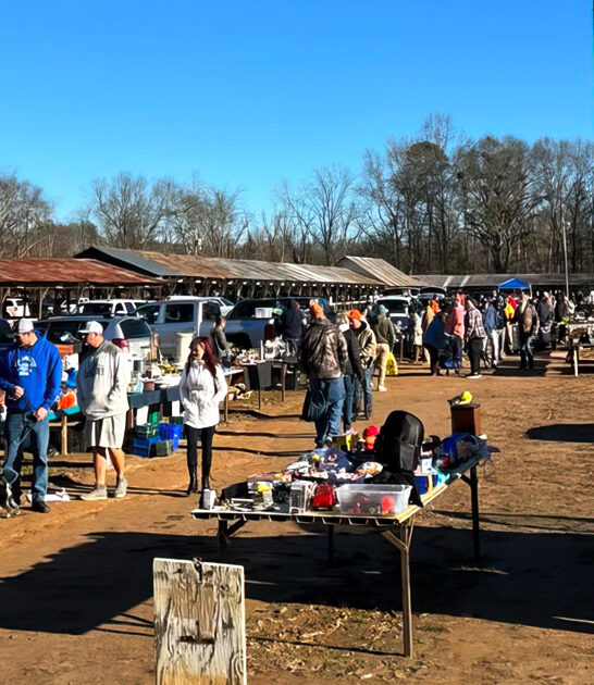 treasures countless south carolina ftr