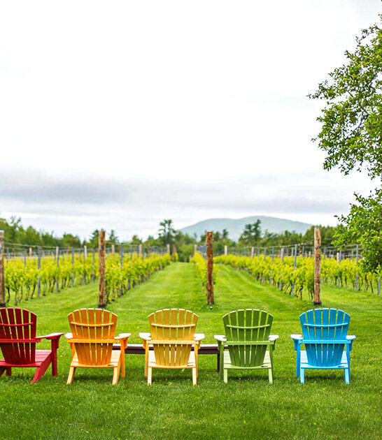 tuscany gorgeous vineyard maine ftr