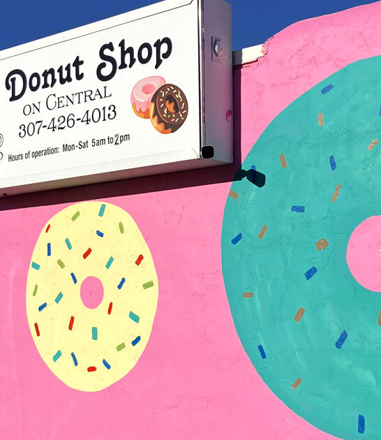 unassuming donut shop wyoming ftr