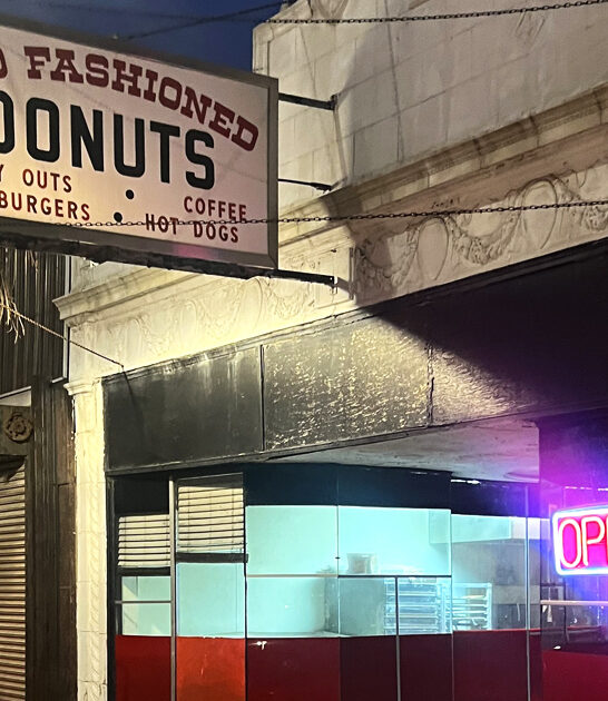 unassuming donut shops illinois ftr