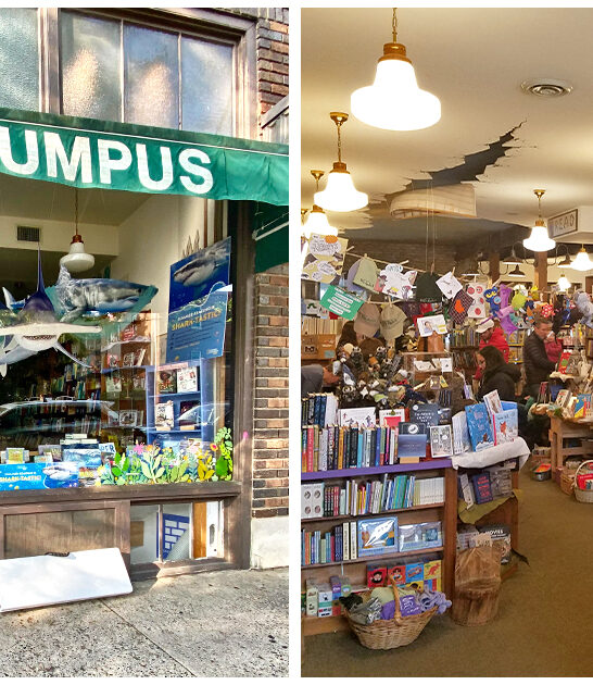 under radar bookstore minnesota FTR