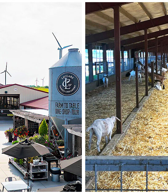 underrated cheese shop malone wi ftr