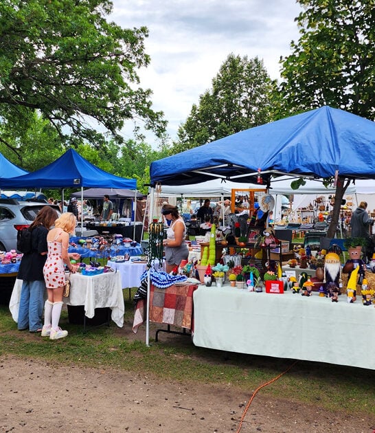 underrated flea market minnesota FTR