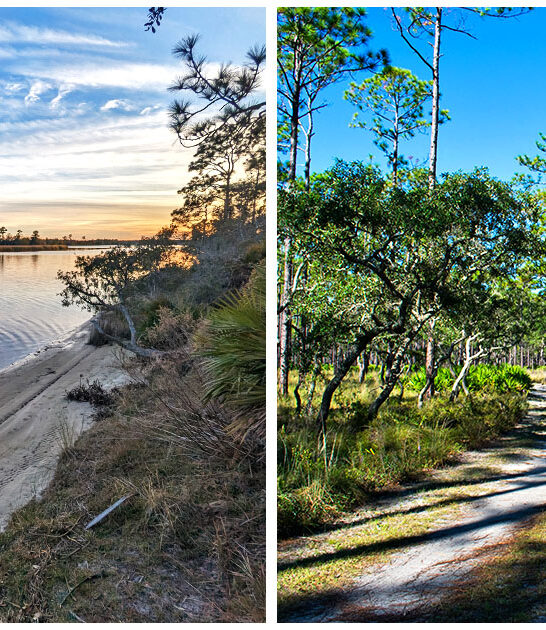 underrated florida state park FTR