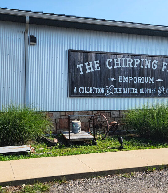 underrated illinois antique store ftr