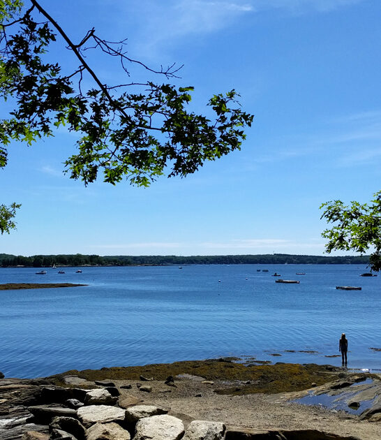 underrated park maine ftr