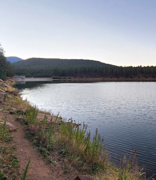 underrated park new mexico ftr