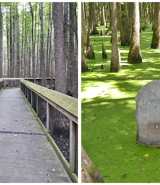 underrated state park arkansas FTR