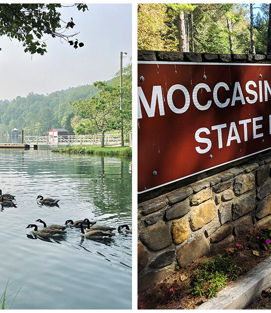 underrated state park georgia FTR