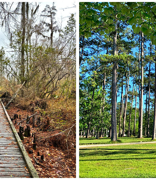 underrated state park louisiana ftr