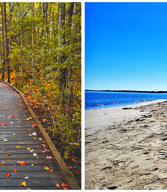 underrated state park maine ftr