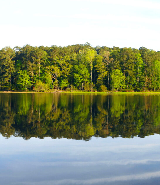 underrated state park mississippi ftr