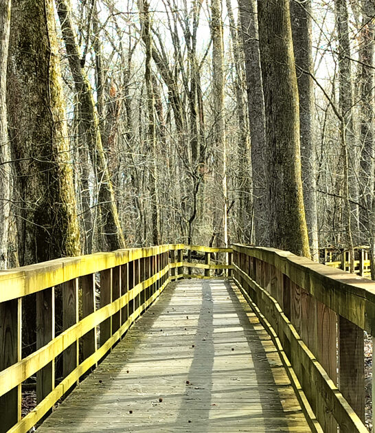 underrated state park tennessee ftr