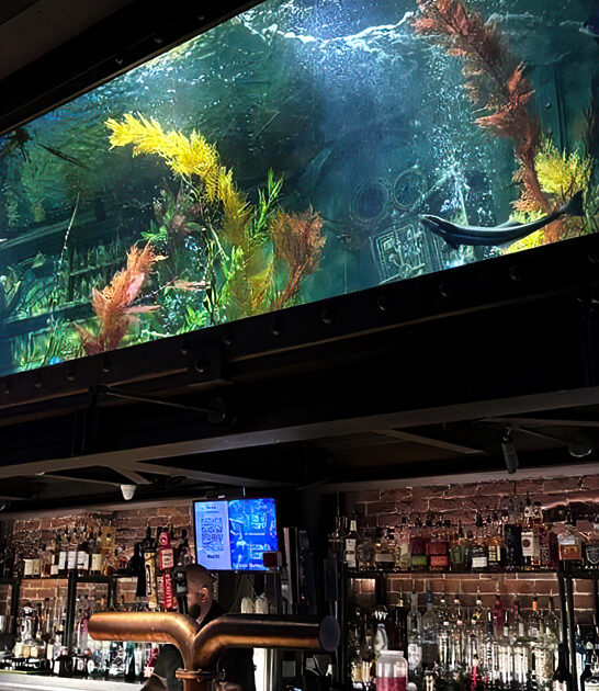 unique dive bars california FTR